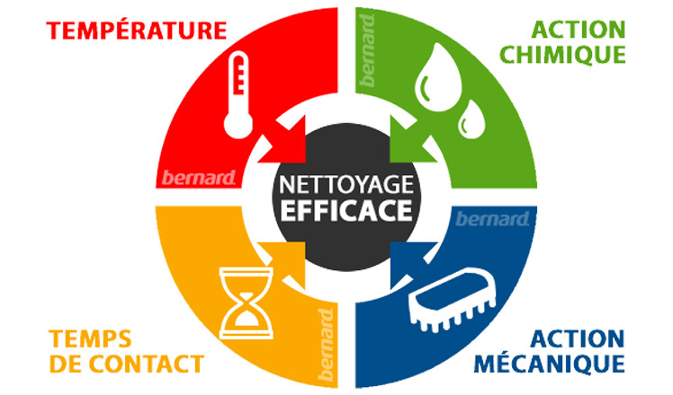 Le cercle de Sinner et les clés de la propreté